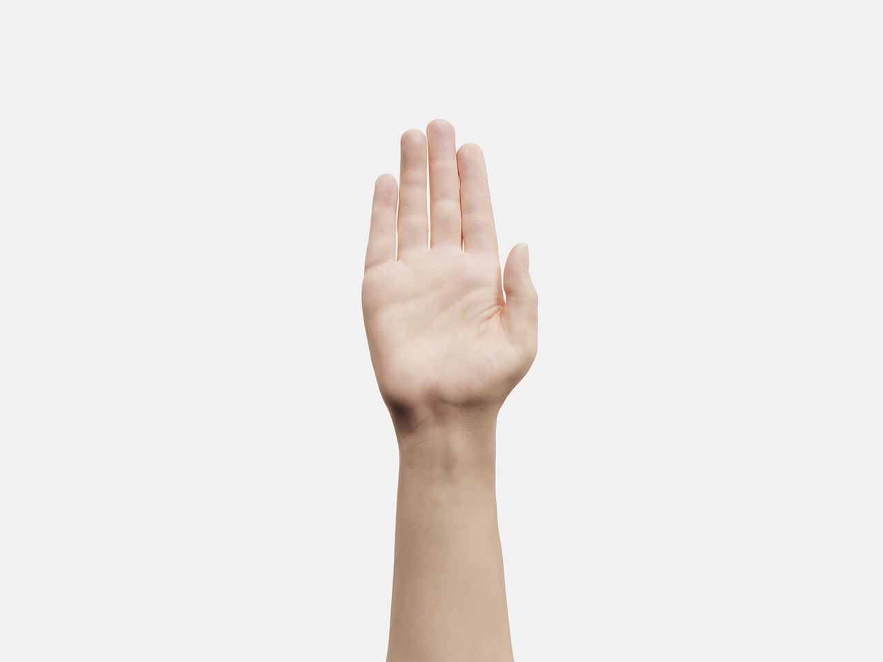 Hand Elements - Visune KeyShot Store