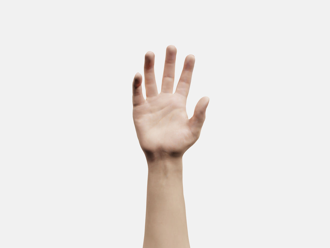 Hand Elements - Visune KeyShot Store