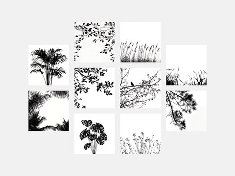 Shadow Elements - Visune KeyShot Store