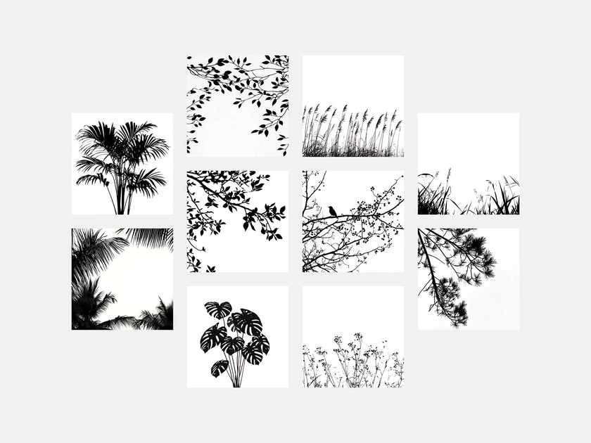 Shadow Elements - Visune KeyShot Store