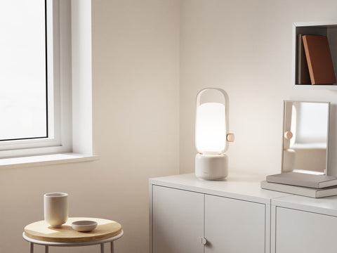 Renter's Room - Visune Keyshot Store